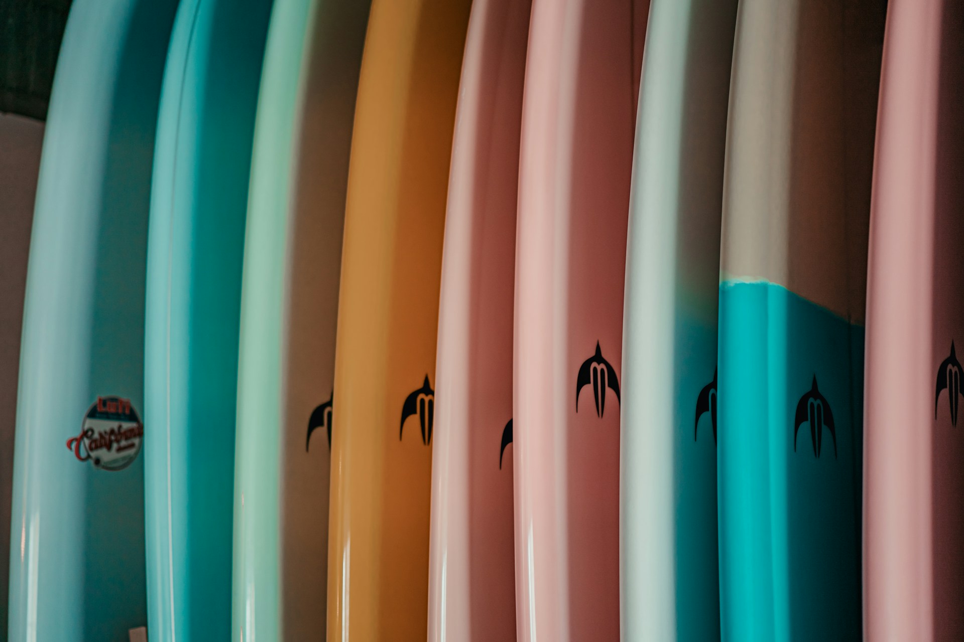 Discover the types of surfboards and their uses
